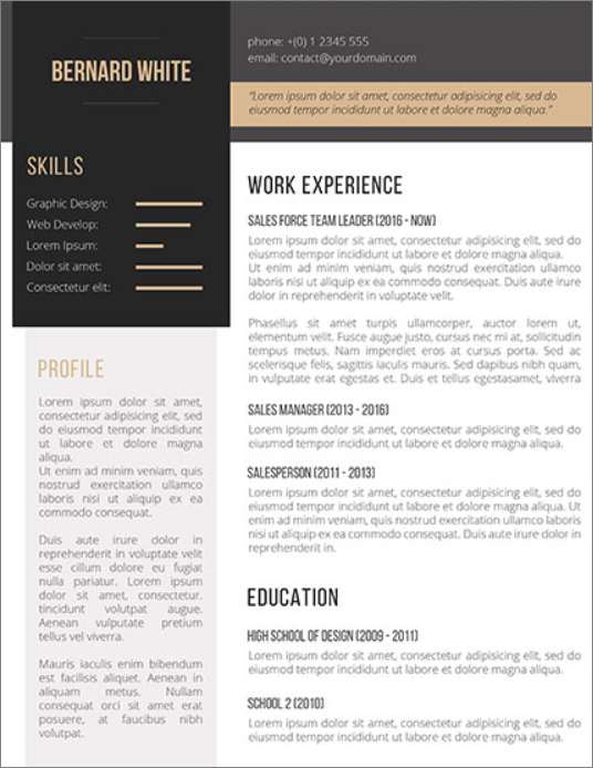 17 Plantillas de Curriculum Vitae en Word para Descargar