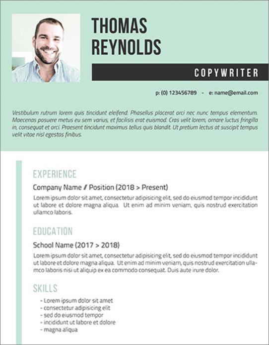 17 Plantillas de Curriculum Vitae en Word para Descargar